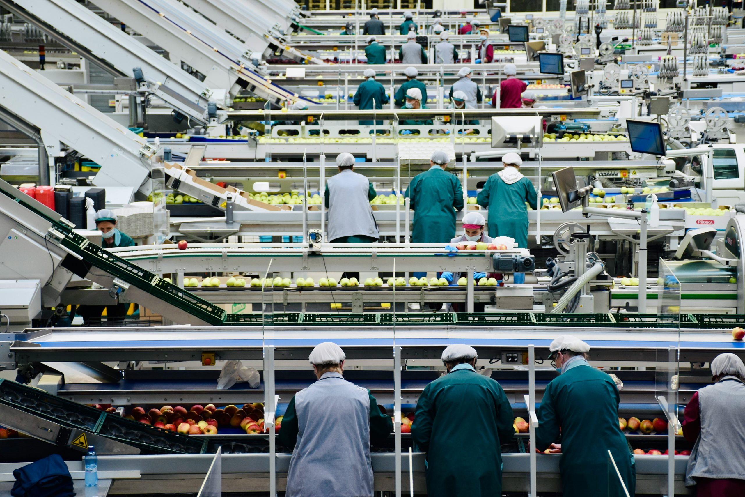 Industria alimentaria - TEFOR Exportaciones